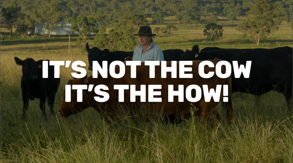 Behind the Beef – Native Angus Beef Shop