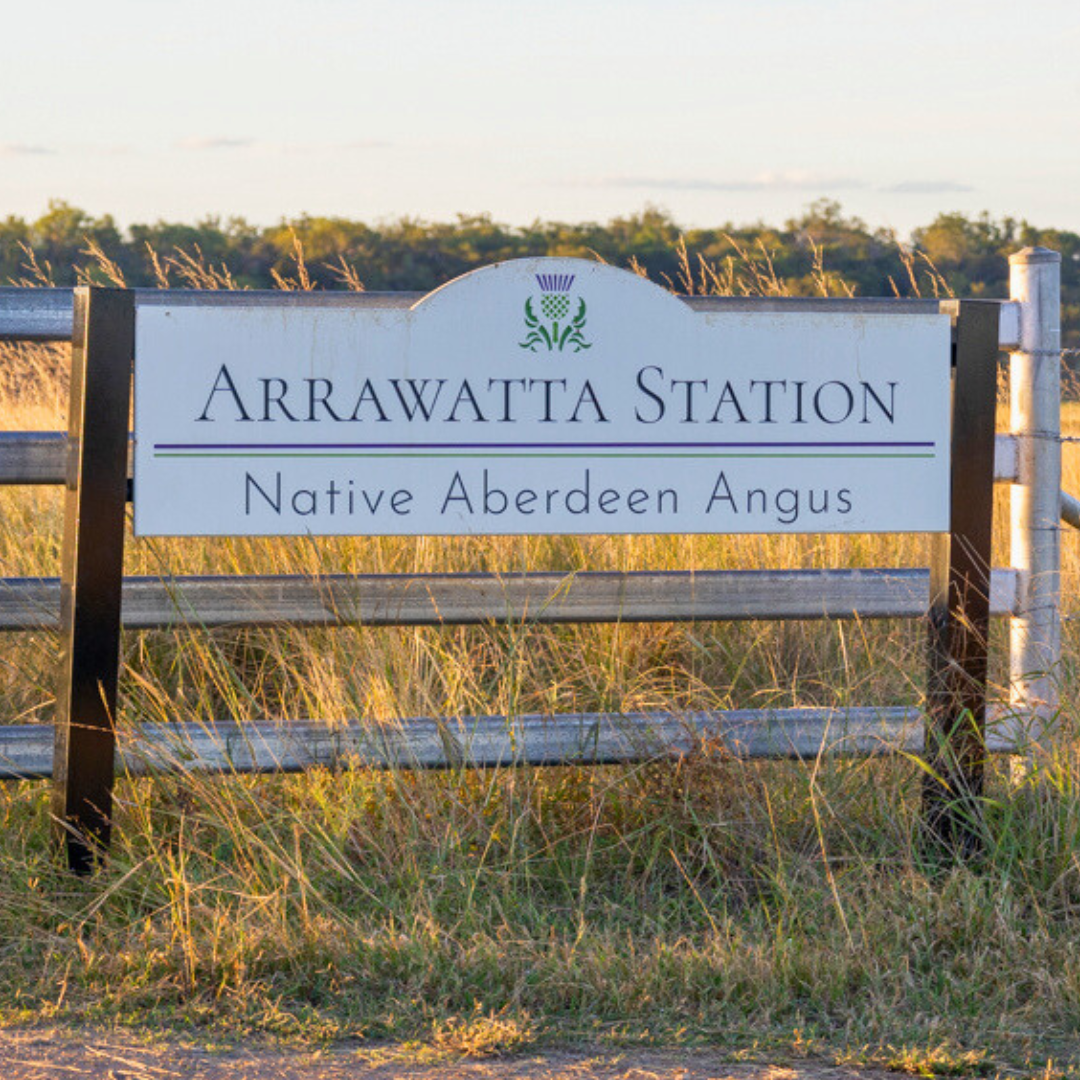 Native Angus Beef Shop | 200 years of breeding for quality – Native ...