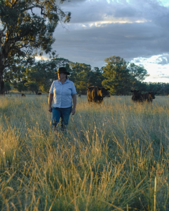 Arrawatta Station – Native Angus Beef Shop