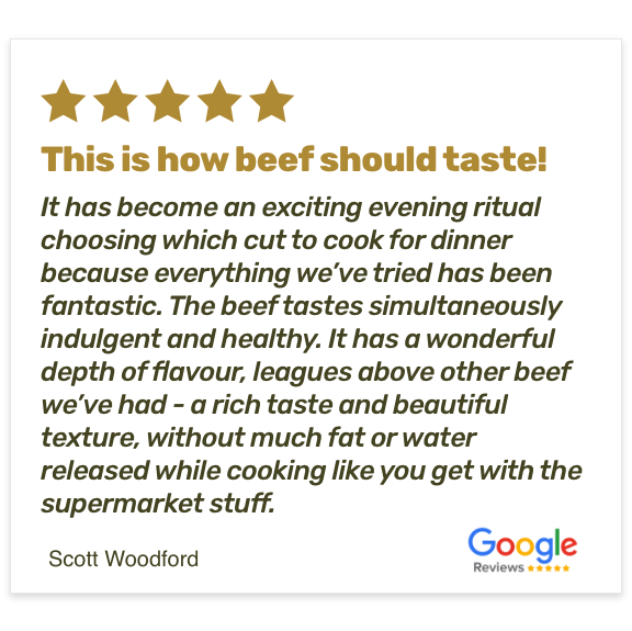 Why Native Angus – Native Angus Beef Shop